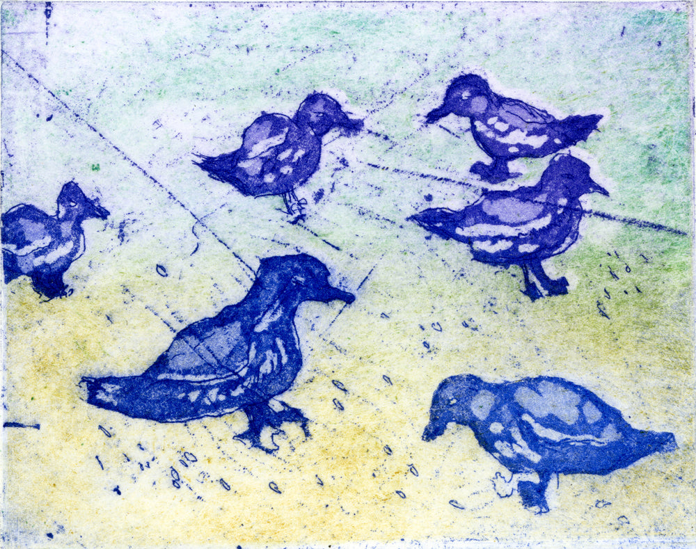 Devon Ducks - Limited Edition Fine Art Print | Richard Spare