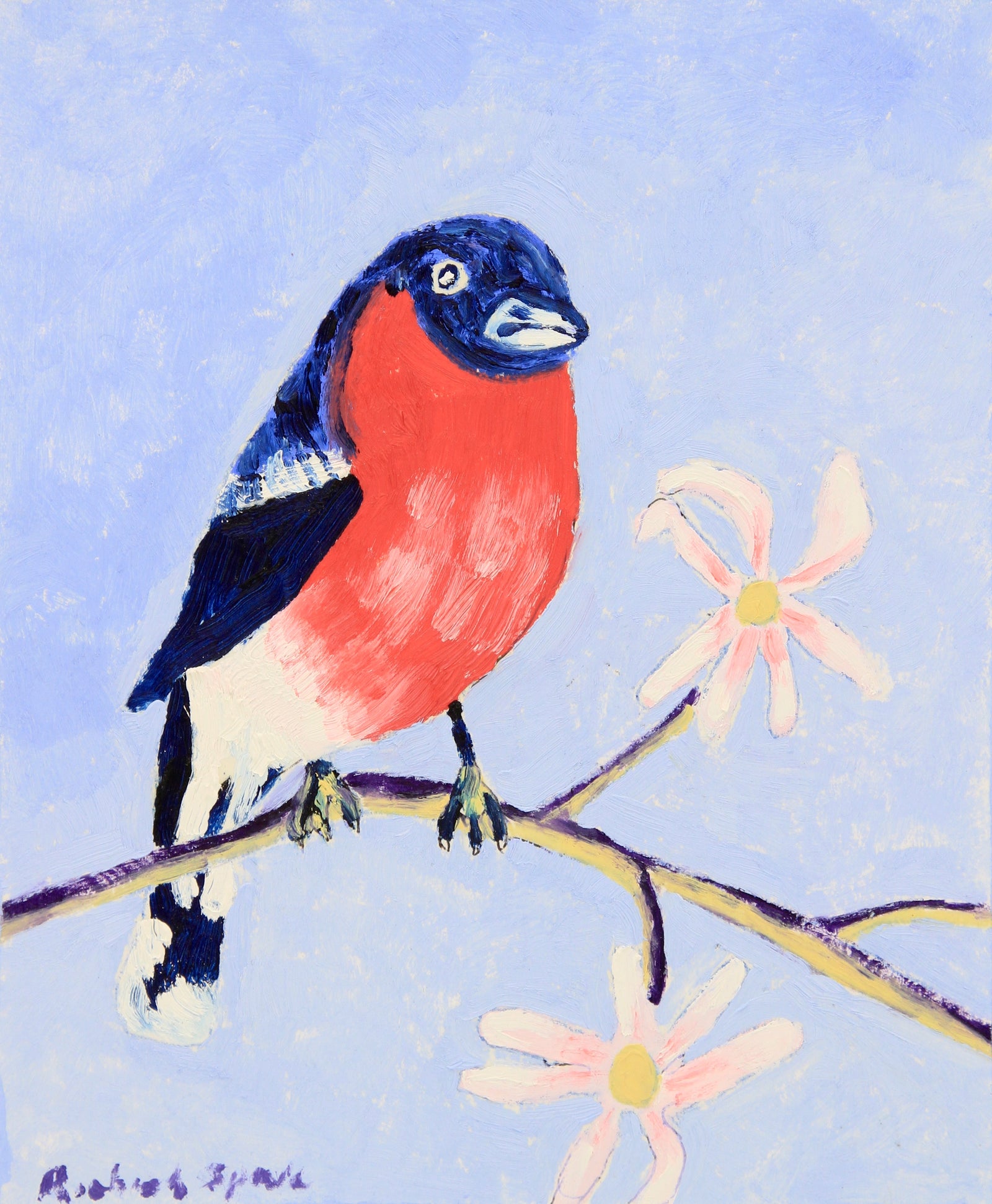 Richard Spare - Official Website | Animals & Birds – Page 3