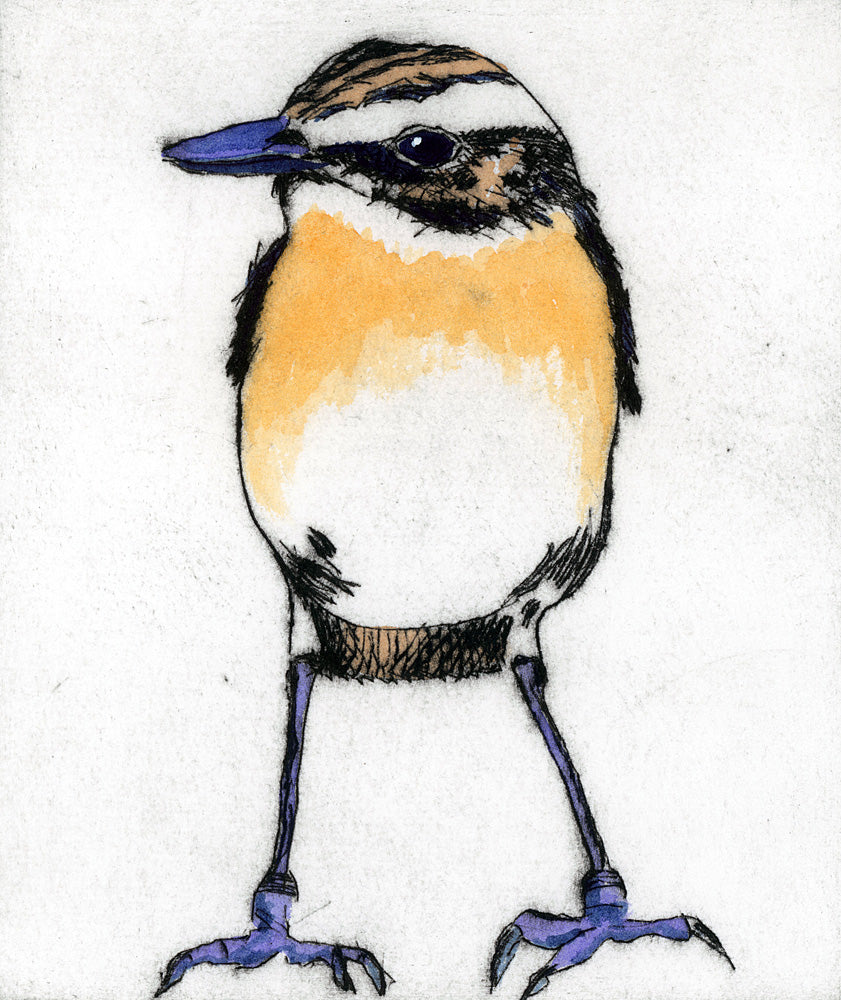 Whinchat - Limited Edition Fine Art Print | Richard Spare